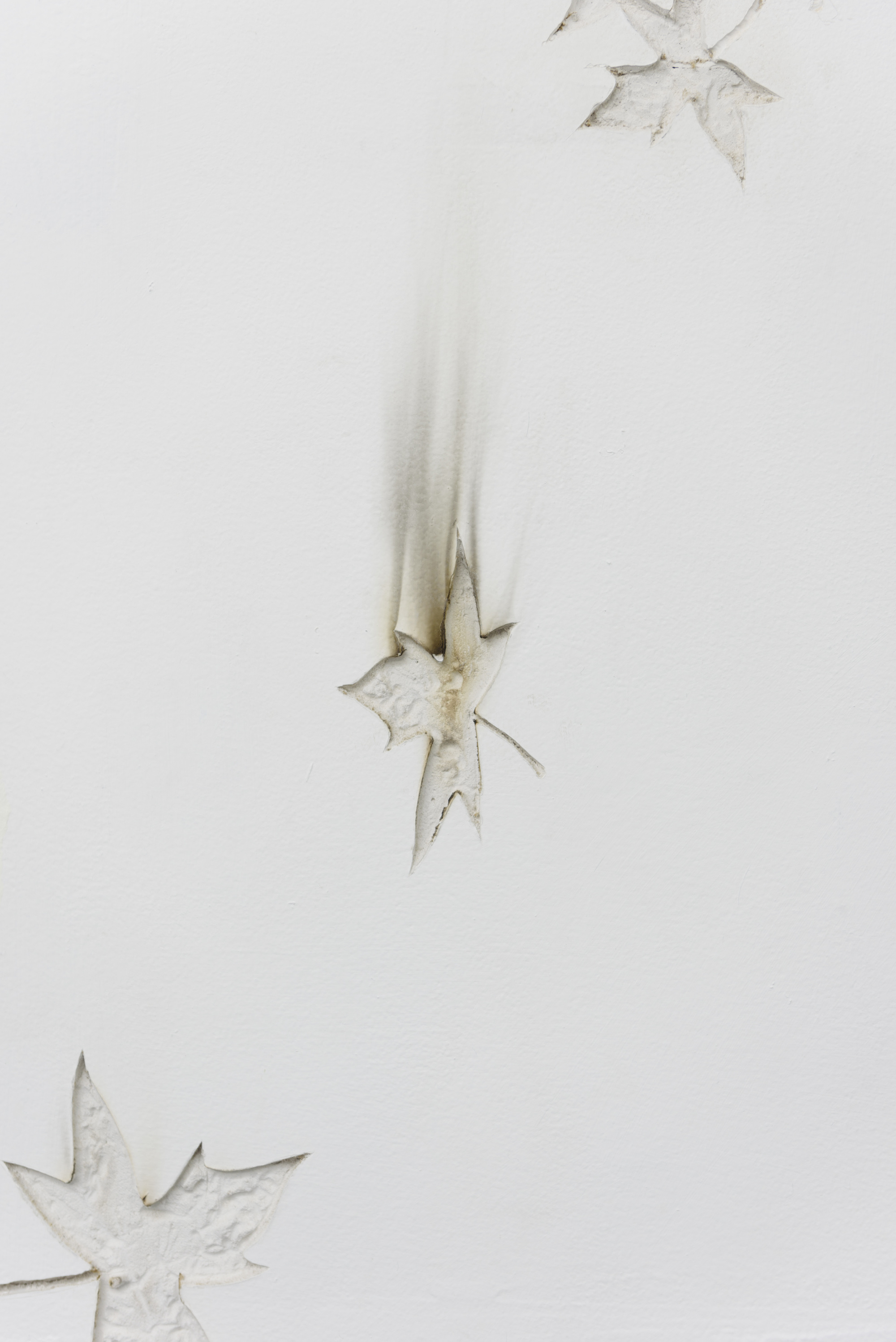 Ozone Flowers - Michael Assiff