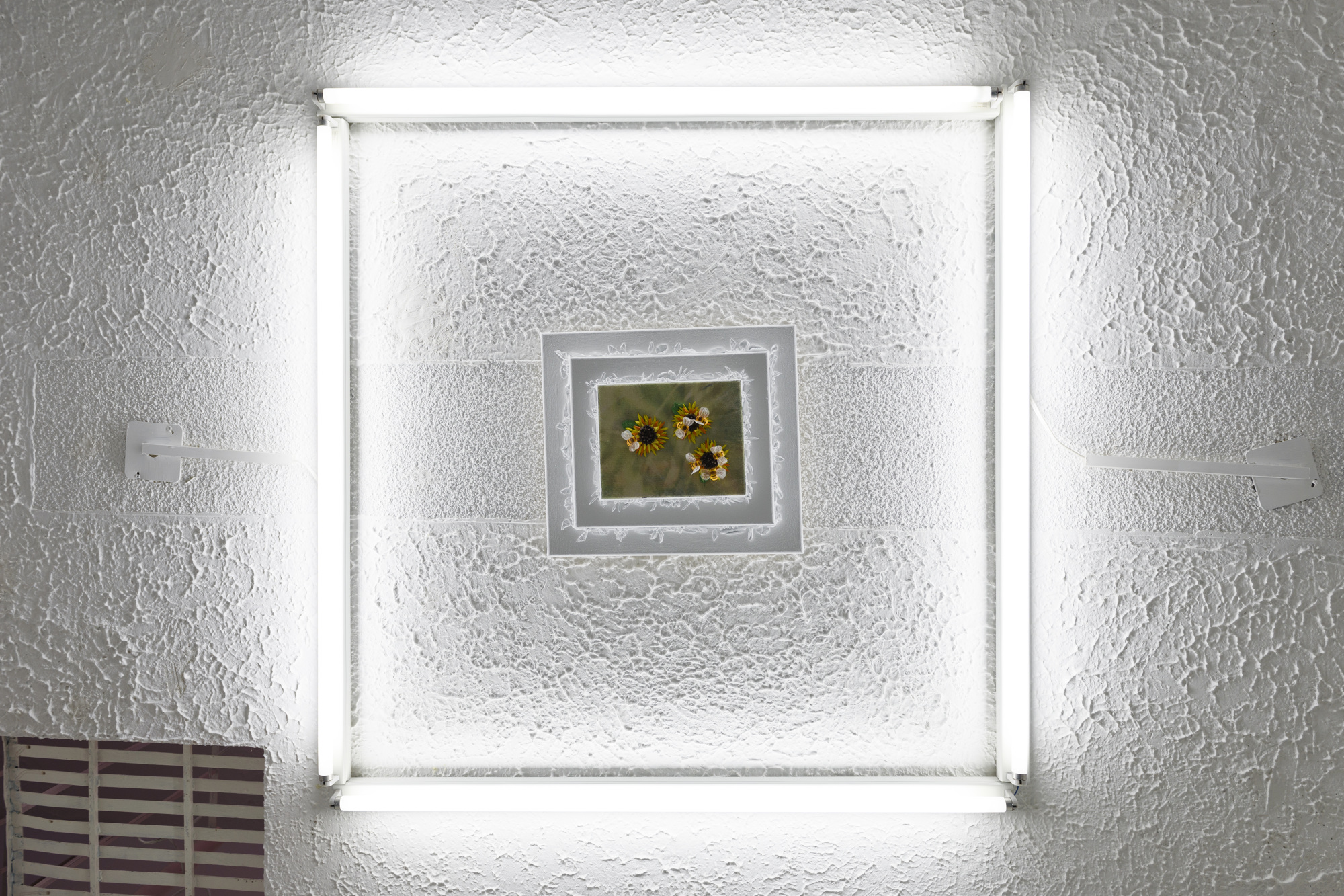 Ozone Flowers - Michael Assiff