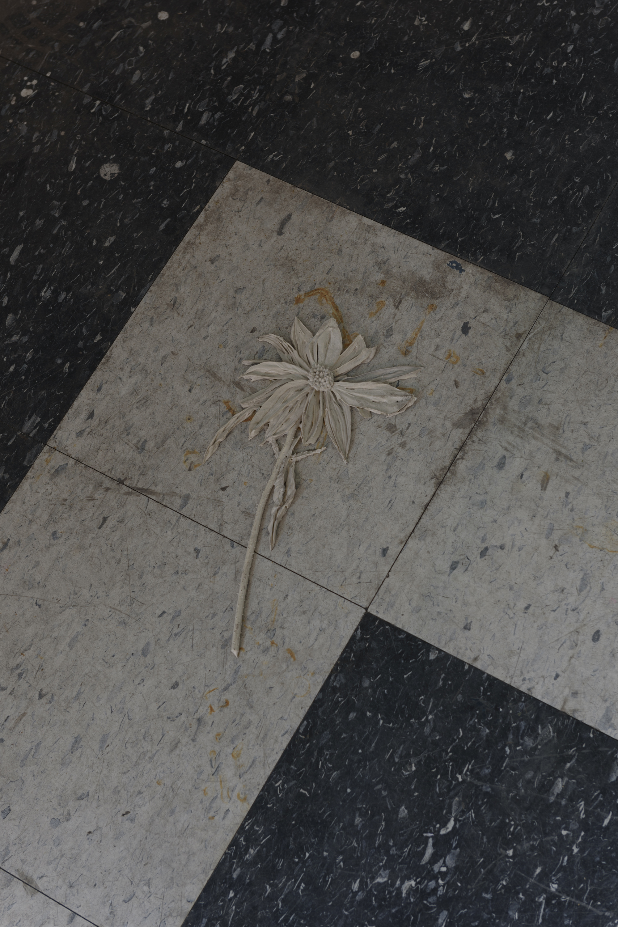 Ozone Flowers - Michael Assiff