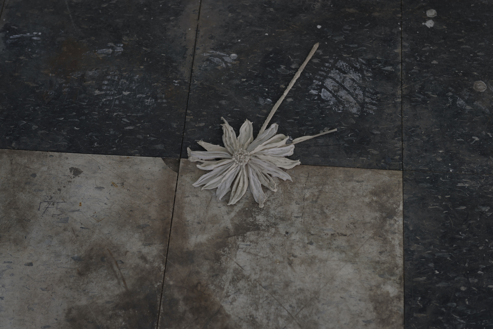 Ozone Flowers - Michael Assiff