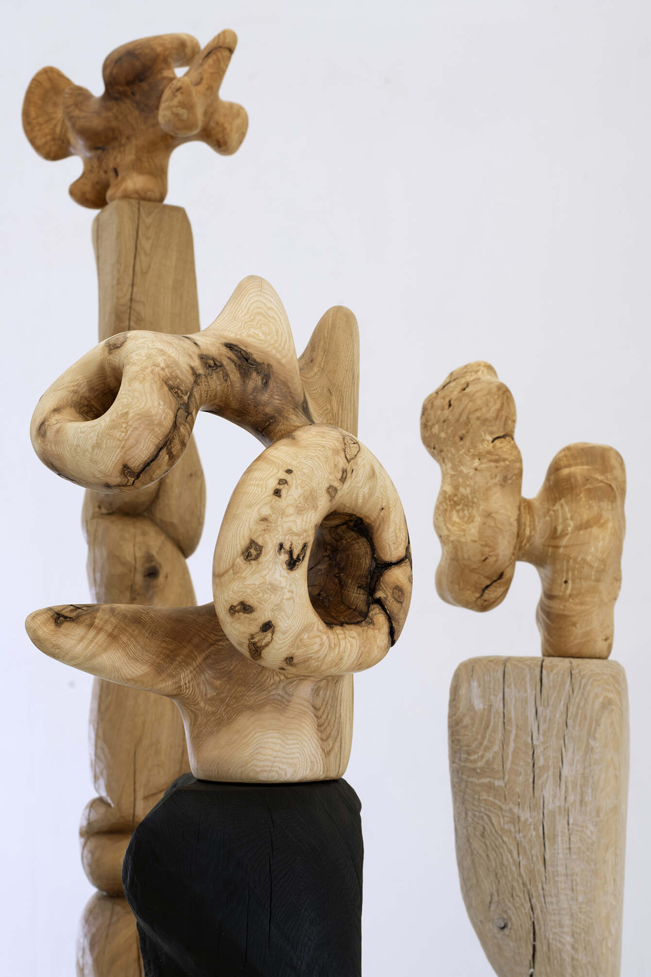 Log Scriber - Sigve Knutson