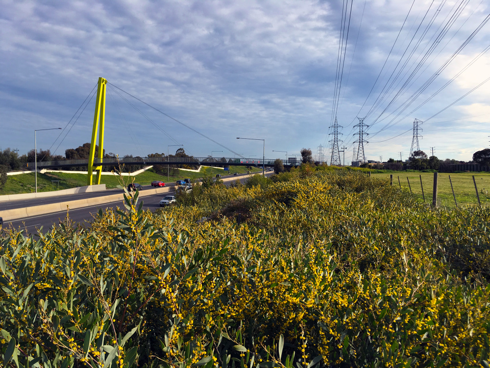 M80 Ringroad Upgrade Melbourne - johnharper.LA