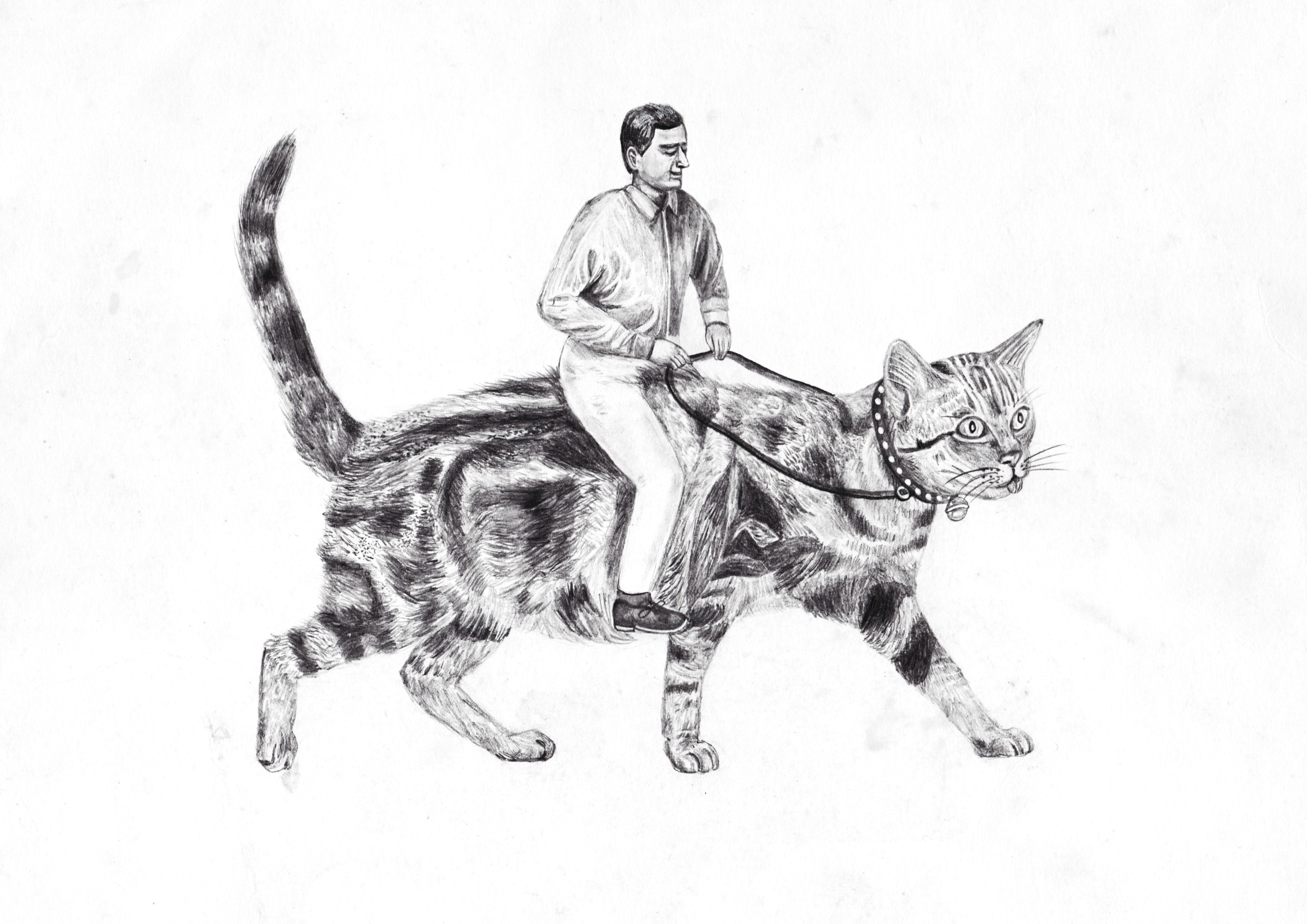 Cat rider - Joshua Goymer Illustration