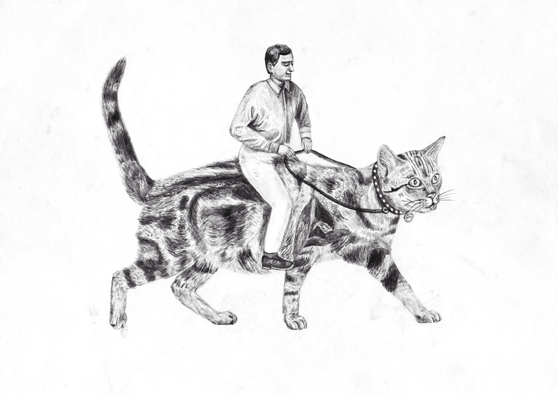 Cat rider - Joshua Goymer Illustration