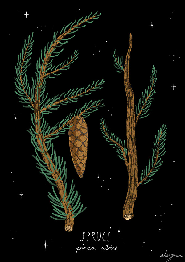 Wandwoods - Amanda Herzman