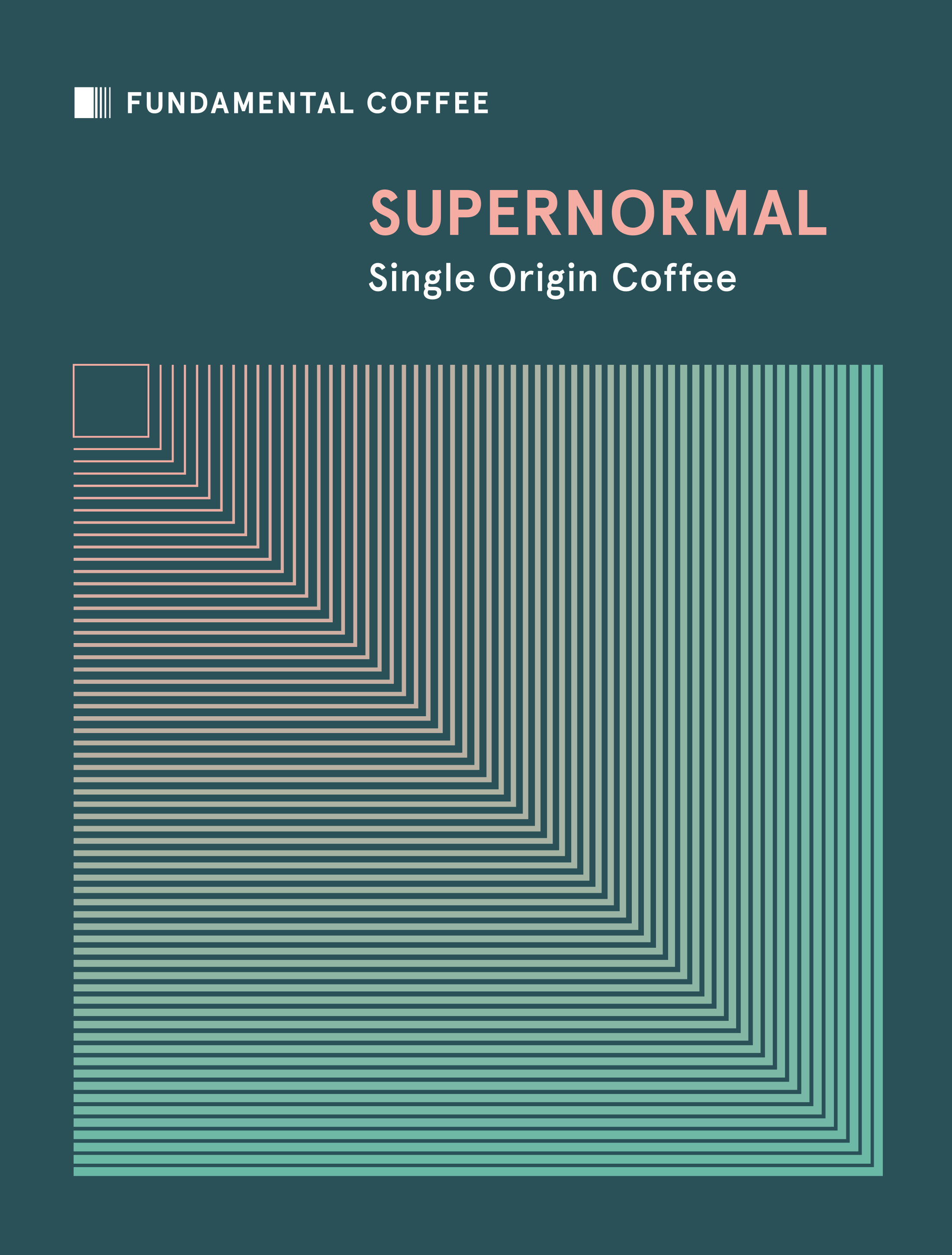 Fundamental Coffee - Plus63