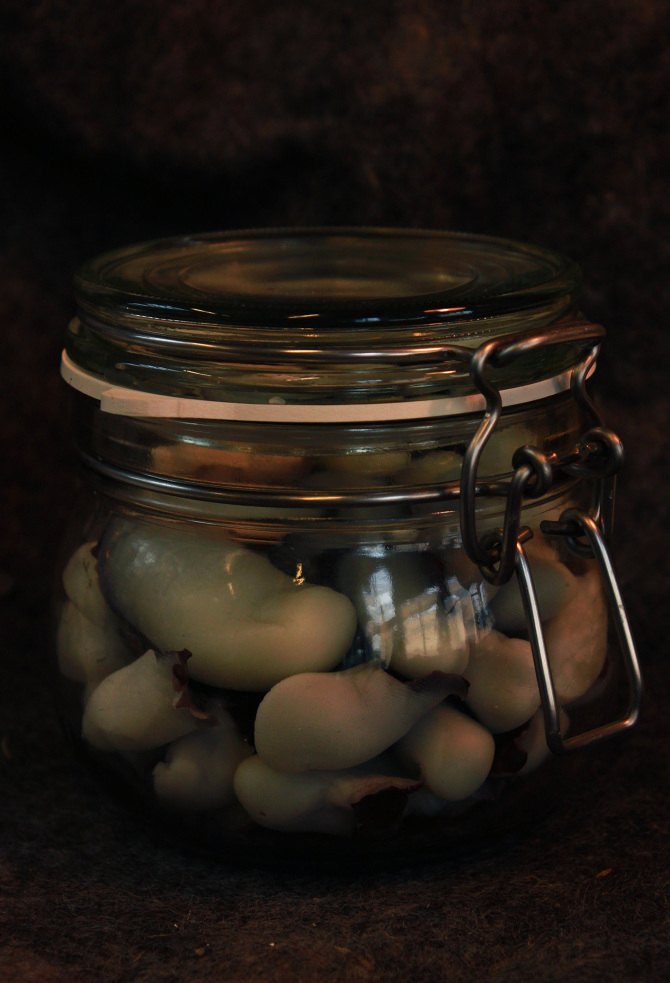 Collecting toes (In case of emergency) - Tilda Dalunde