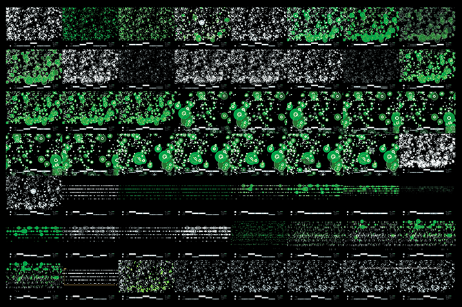 Visualization for Tropical Forest Data - zeelab