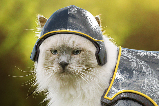 Razorback - HeyMyNameIsIvan