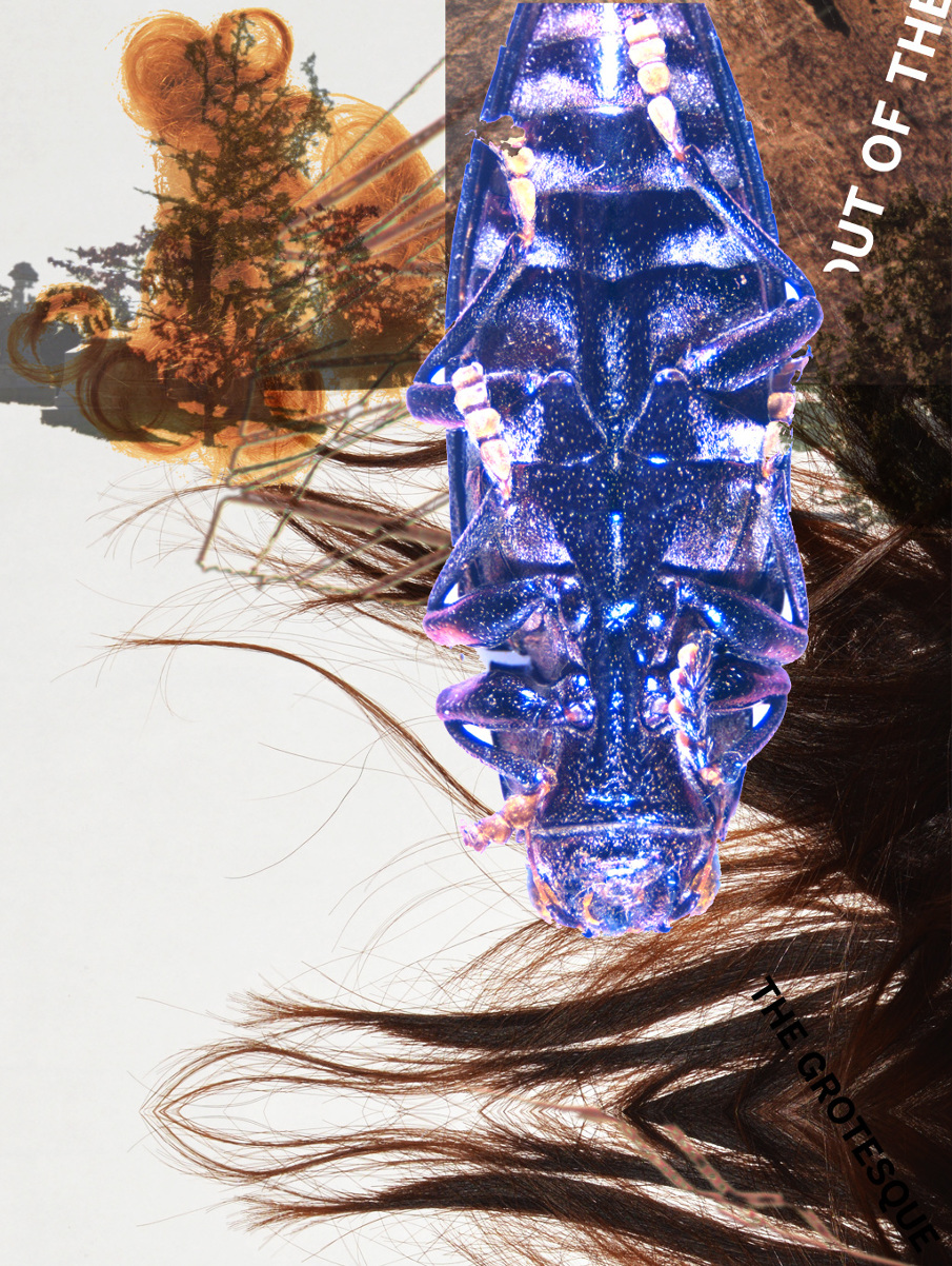 Grotesque Platform - Jerel Johnson