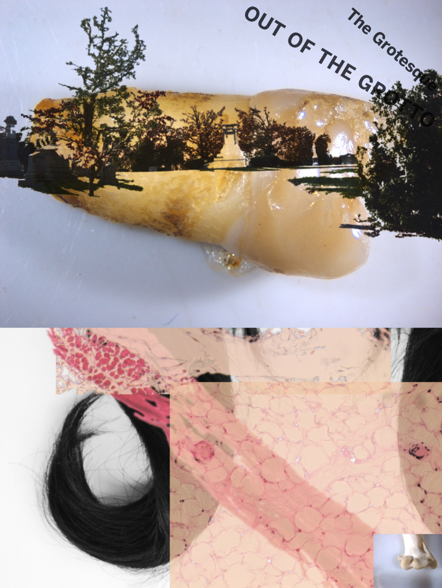 Grotesque Platform - Jerel Johnson