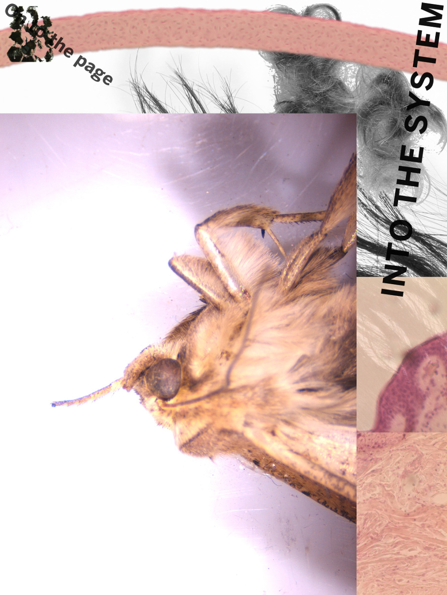 Grotesque Platform - Jerel Johnson