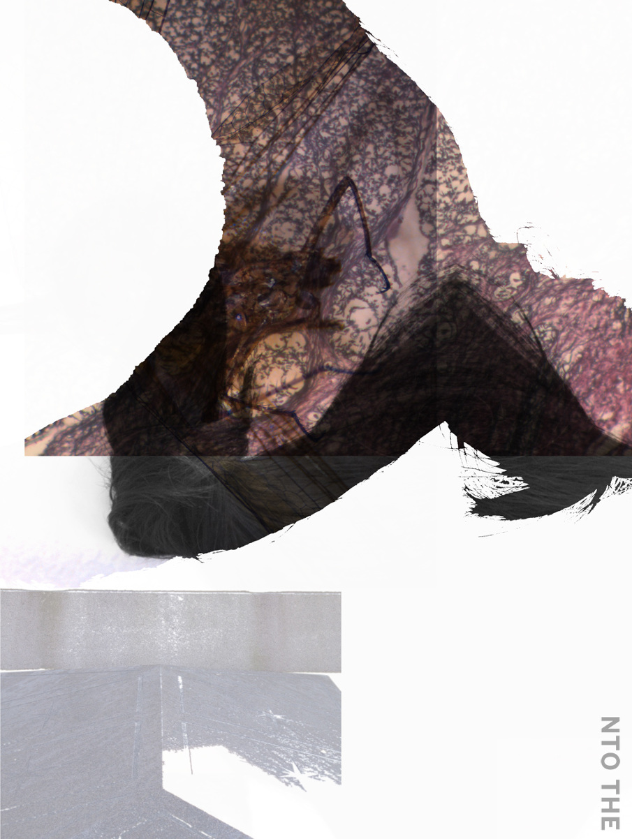 Grotesque Platform - Jerel Johnson