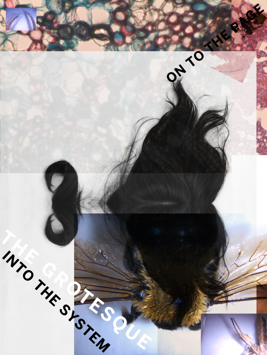 Grotesque Platform - Jerel Johnson