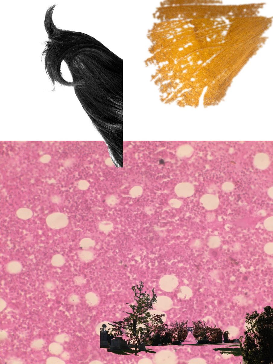 Grotesque Platform - Jerel Johnson