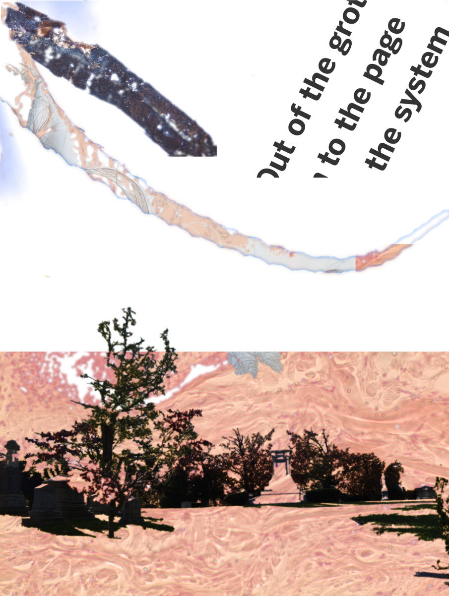 Grotesque Platform - Jerel Johnson