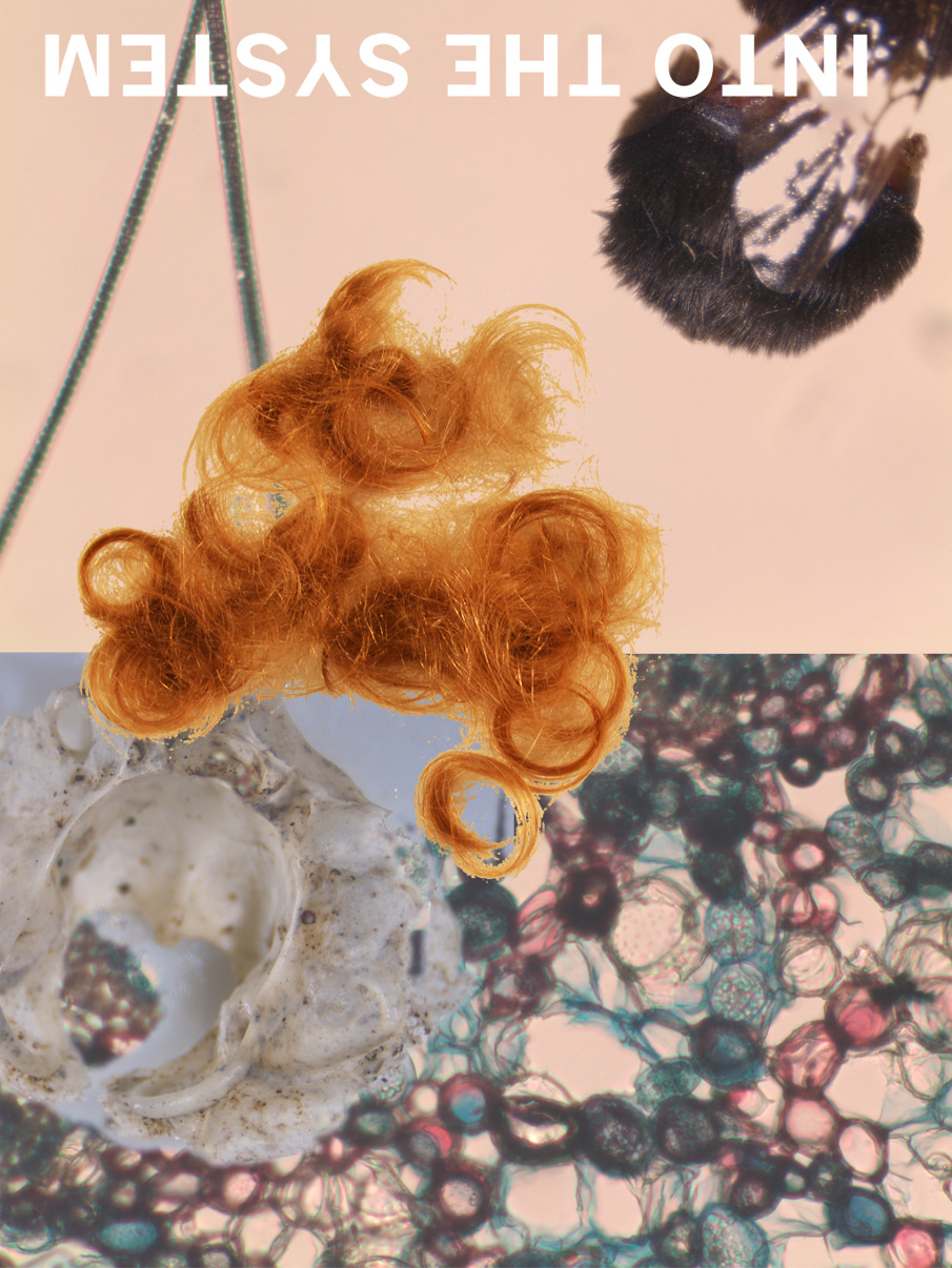 Grotesque Platform - Jerel Johnson