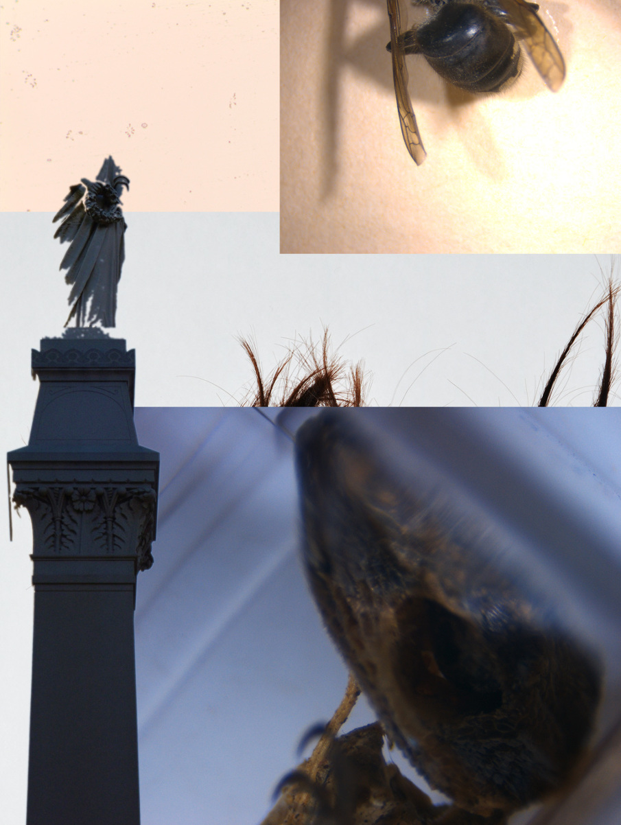 Grotesque Platform - Jerel Johnson