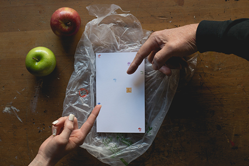 Issue 1: Knees - Print - Wild Apples