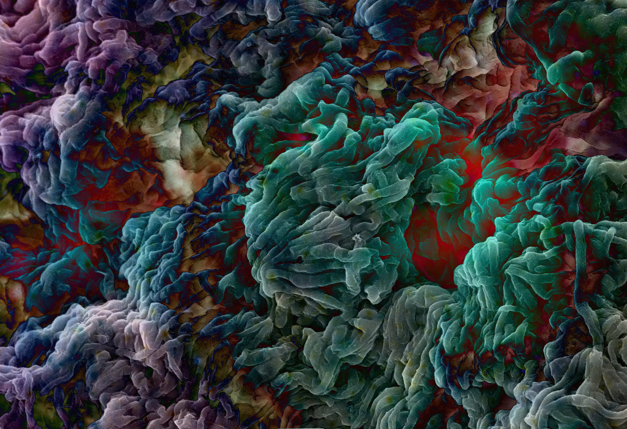 Space Sponge - Mambo Twin