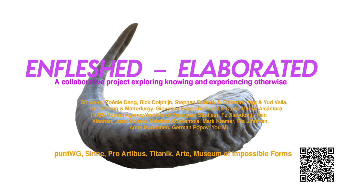 ENFLESHED - ELABORATED - kristiinakoskentola