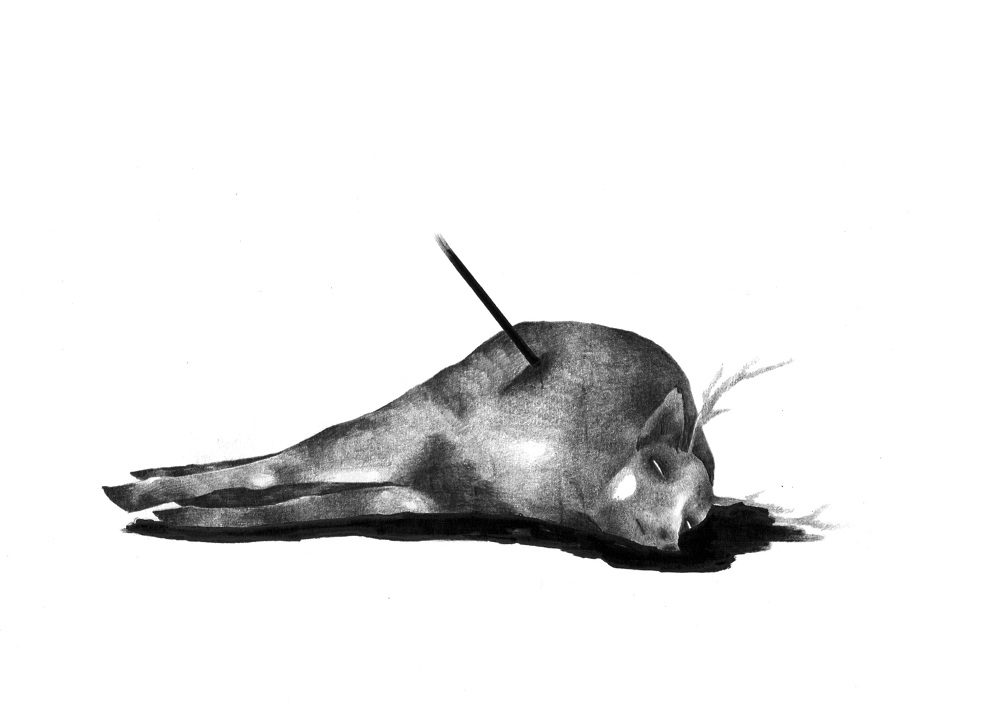 Shapeshifter - Laura Cochon illustration