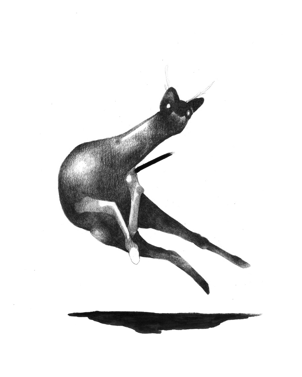 Shapeshifter - Laura Cochon illustration