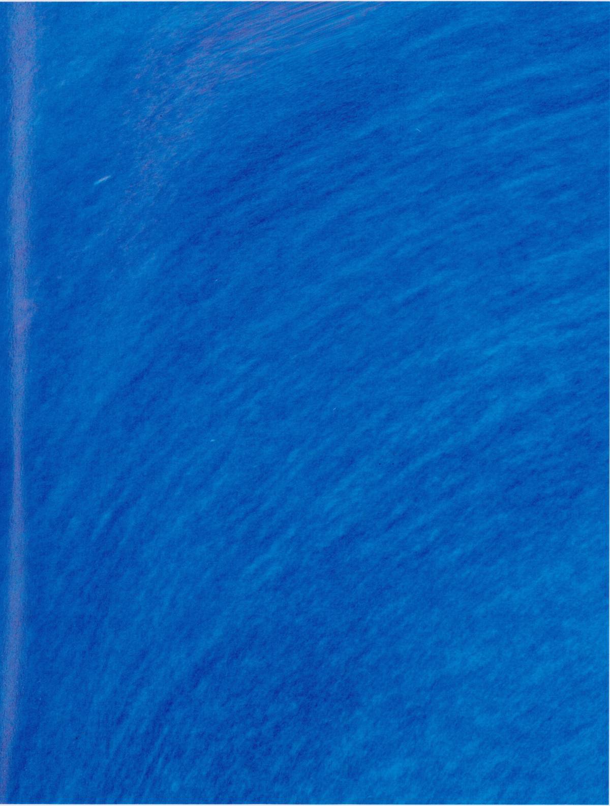 Prints - Paul Rabe