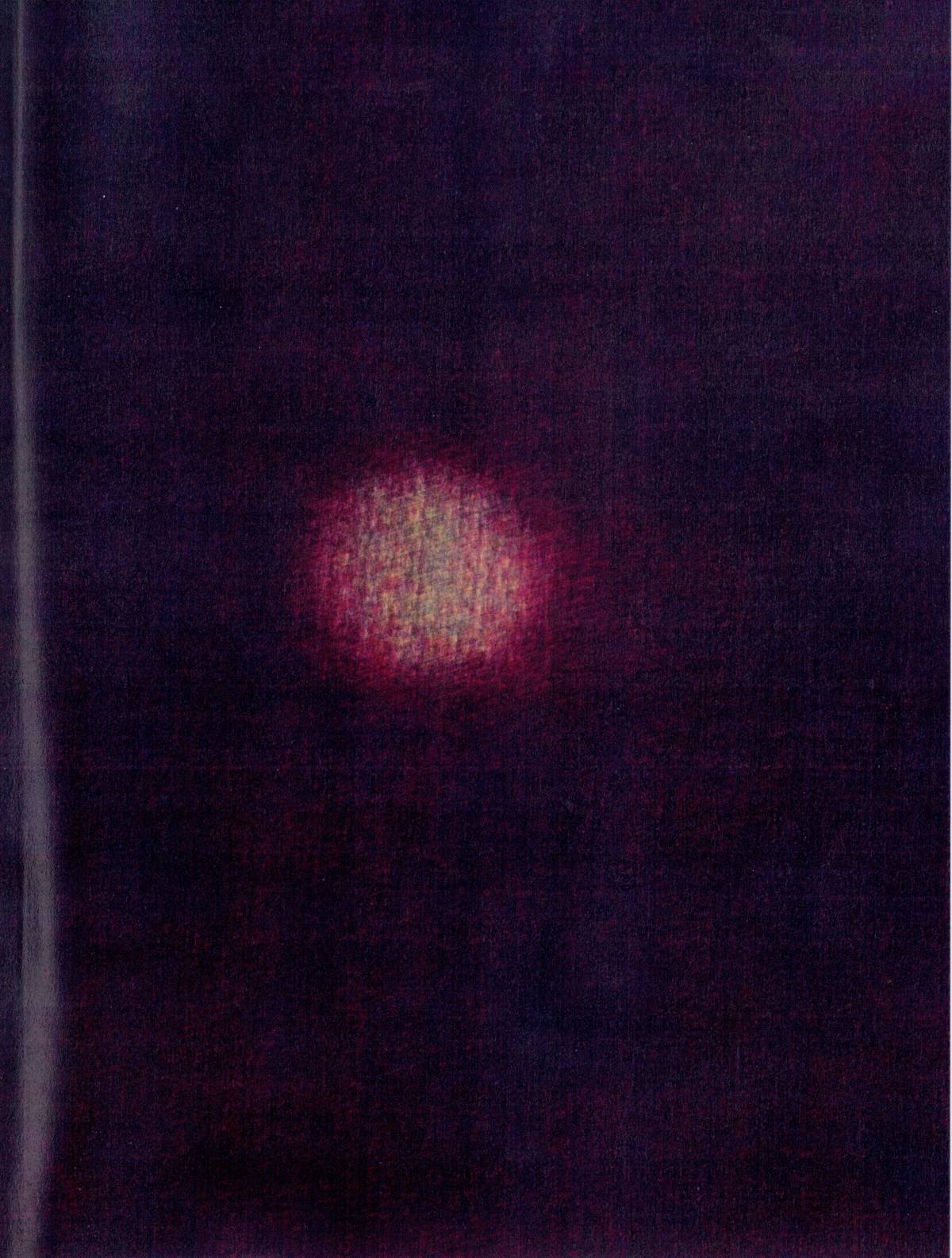 Prints - Paul Rabe
