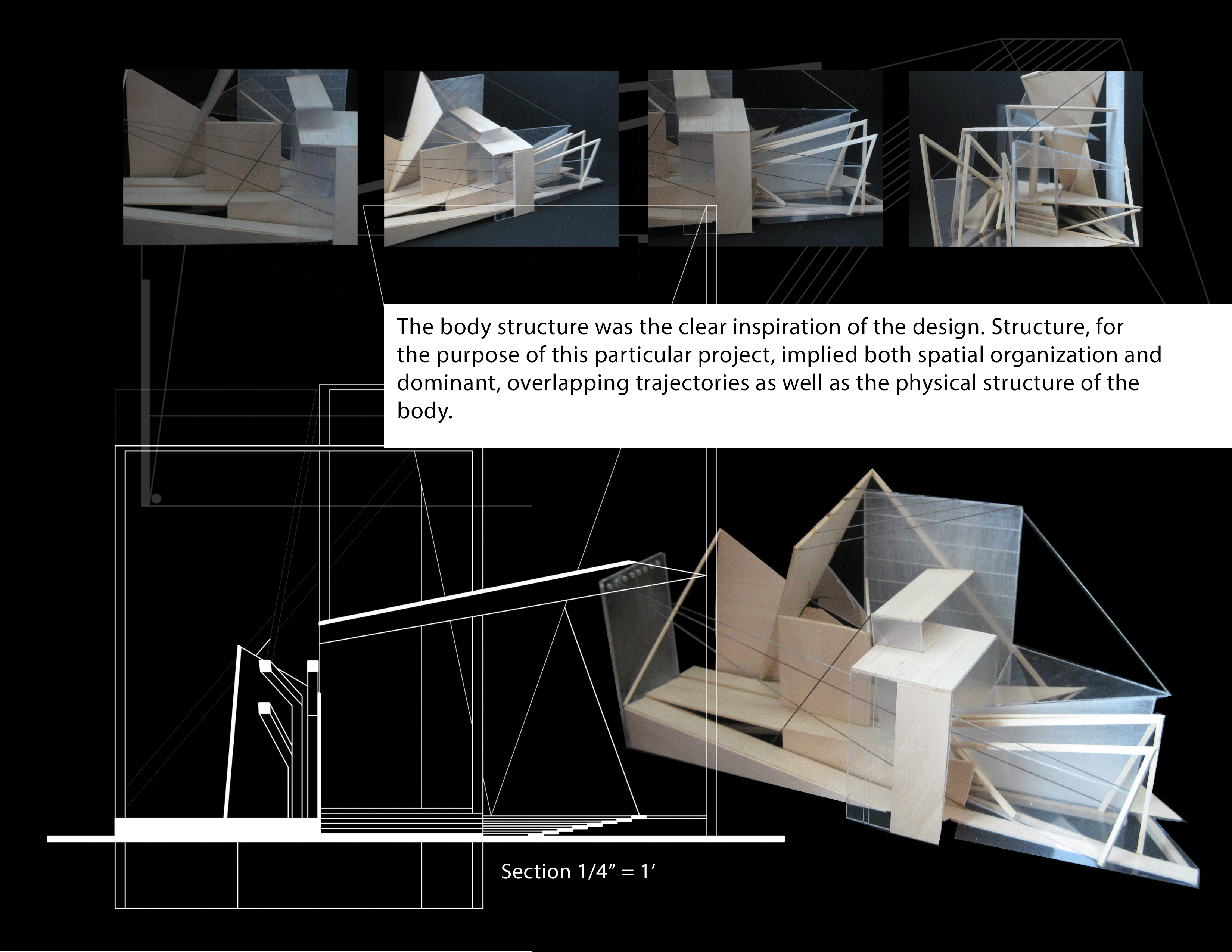 Dynamic Body Mapping - MELISSA BALCAZAR
