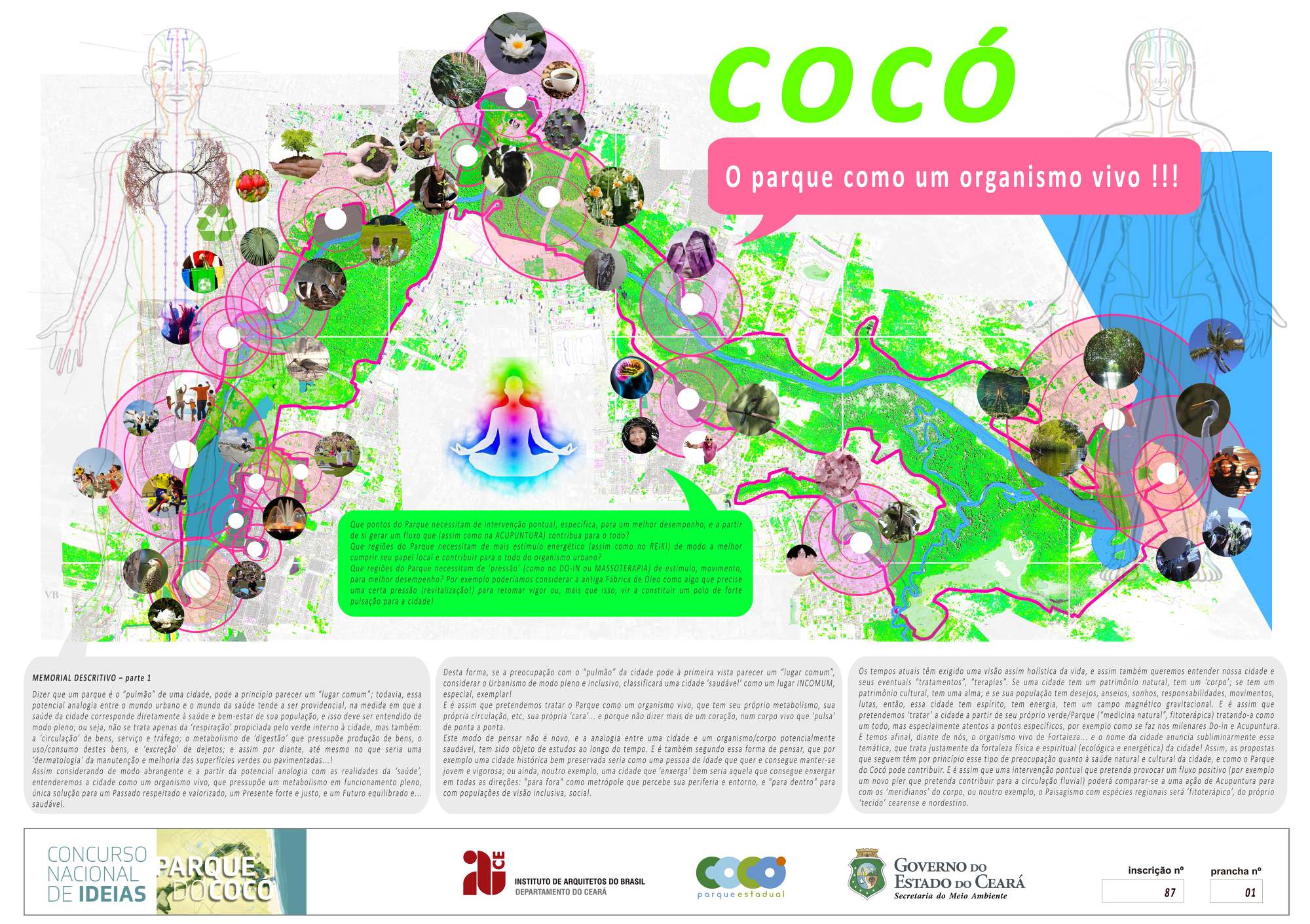 PARQUE COCÓ BRAZIL - biophillick