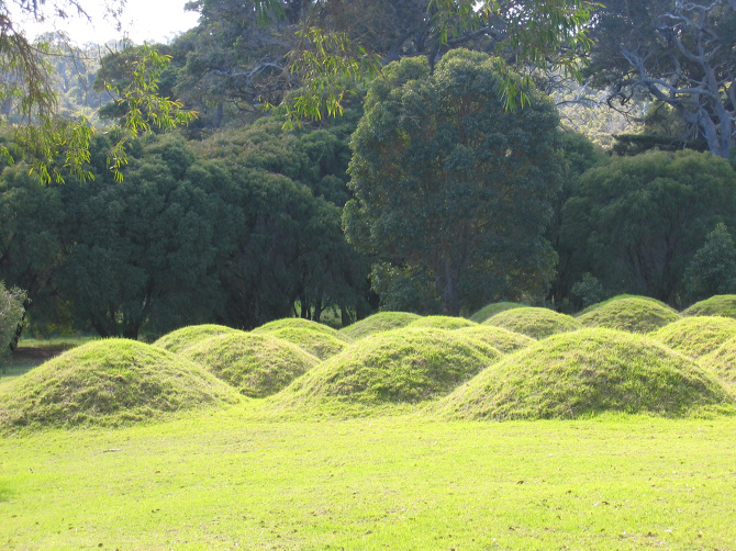 Gary Marinko Architects