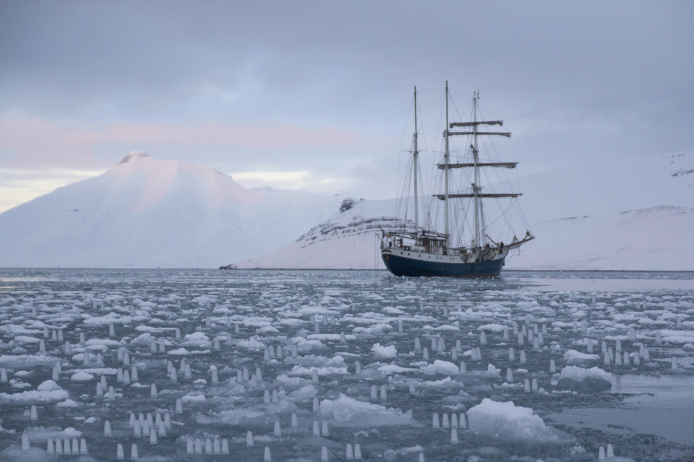 A Consumer's Sigh—Artificial Iceberg Project - Lee,Tzu-Ling