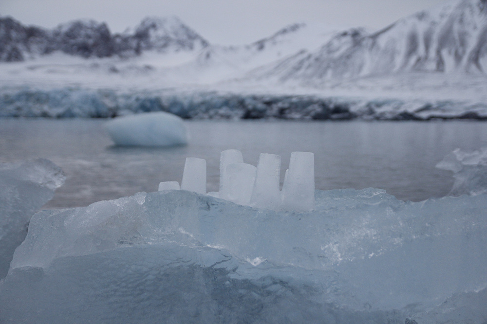 A Consumer's Sigh—Artificial Iceberg Project - Lee,Tzu-Ling