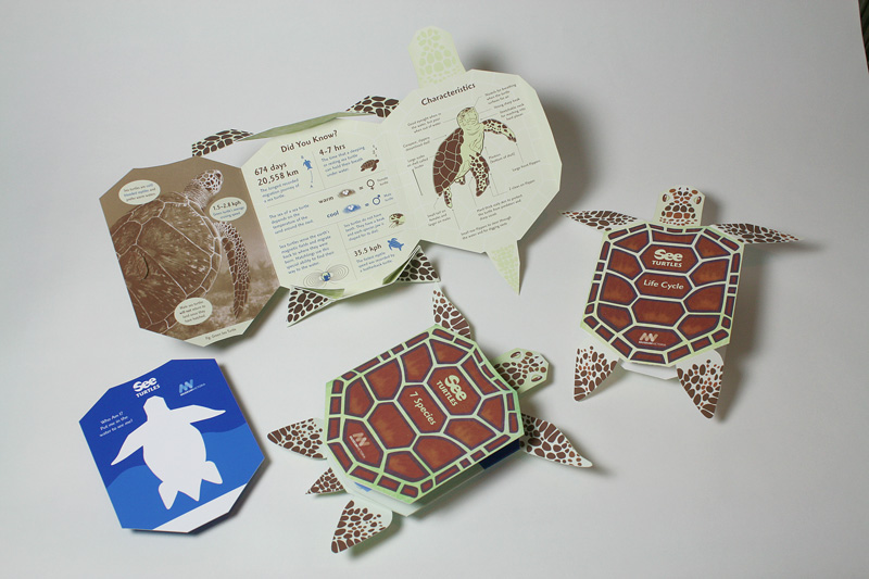 Turtle Information Kit Custom Packaging Design - Daniel Goodrich Design