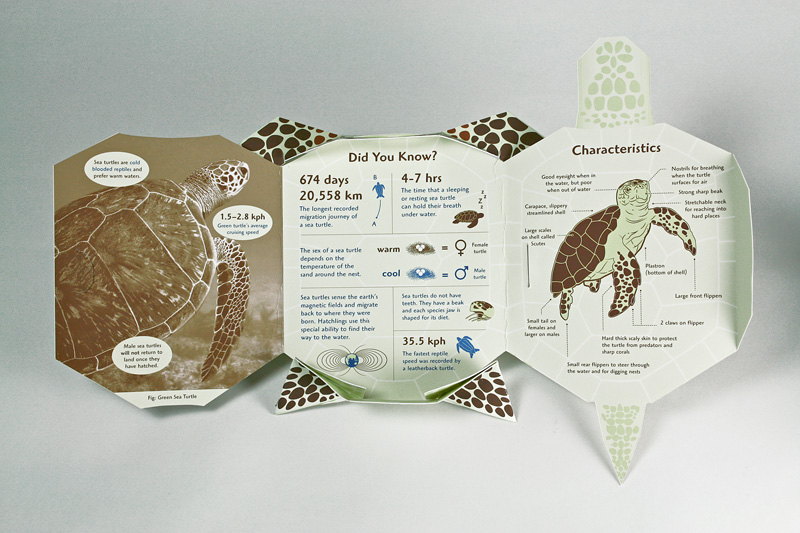 Turtle Information Kit Custom Packaging Design - Daniel Goodrich Design