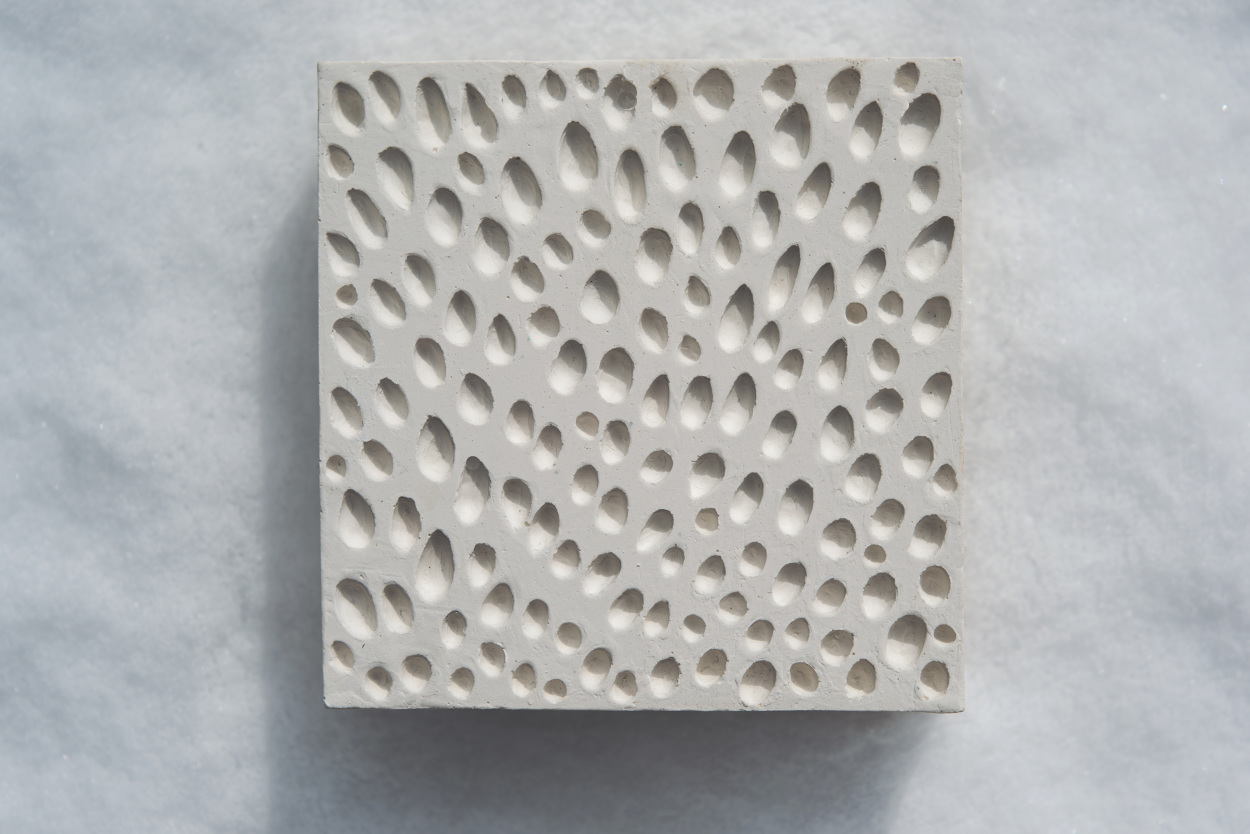 Mycotecture - Lisa Rooney