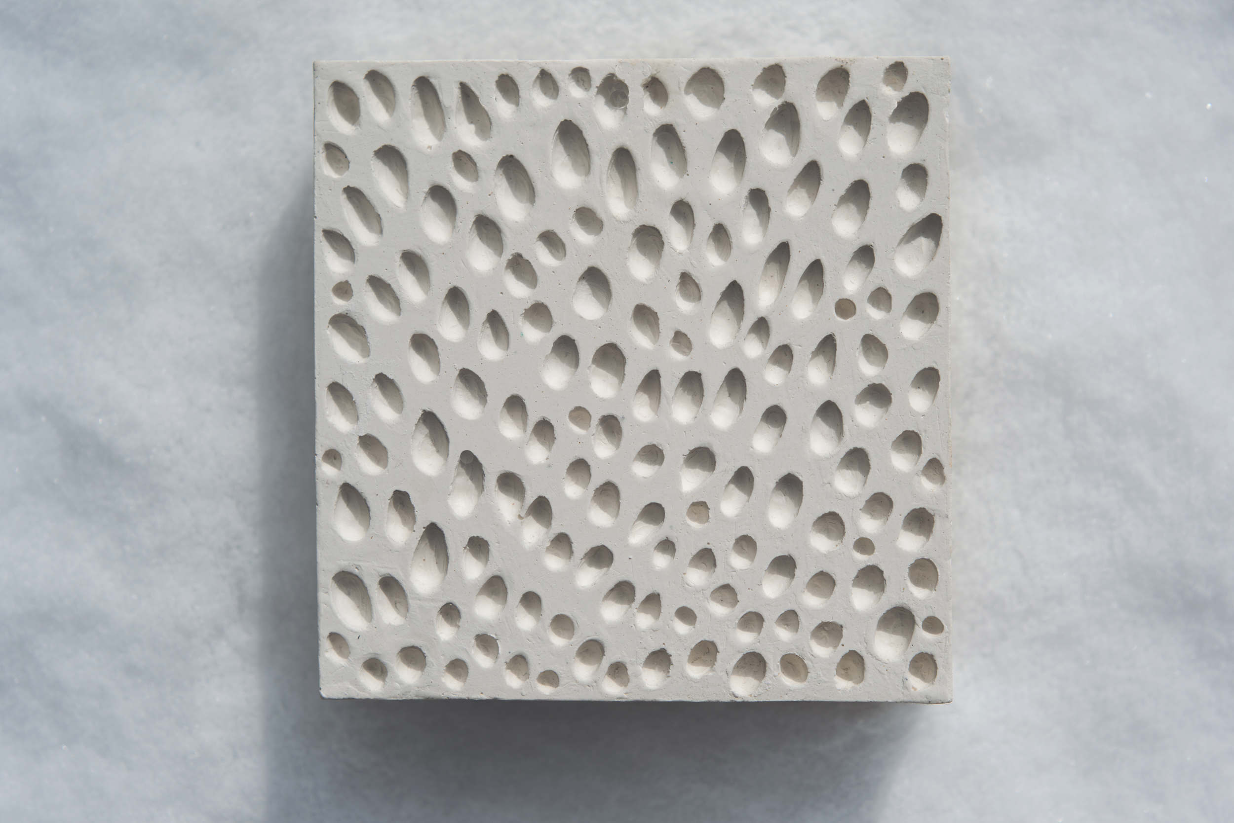 Mycotecture - Lisa Rooney