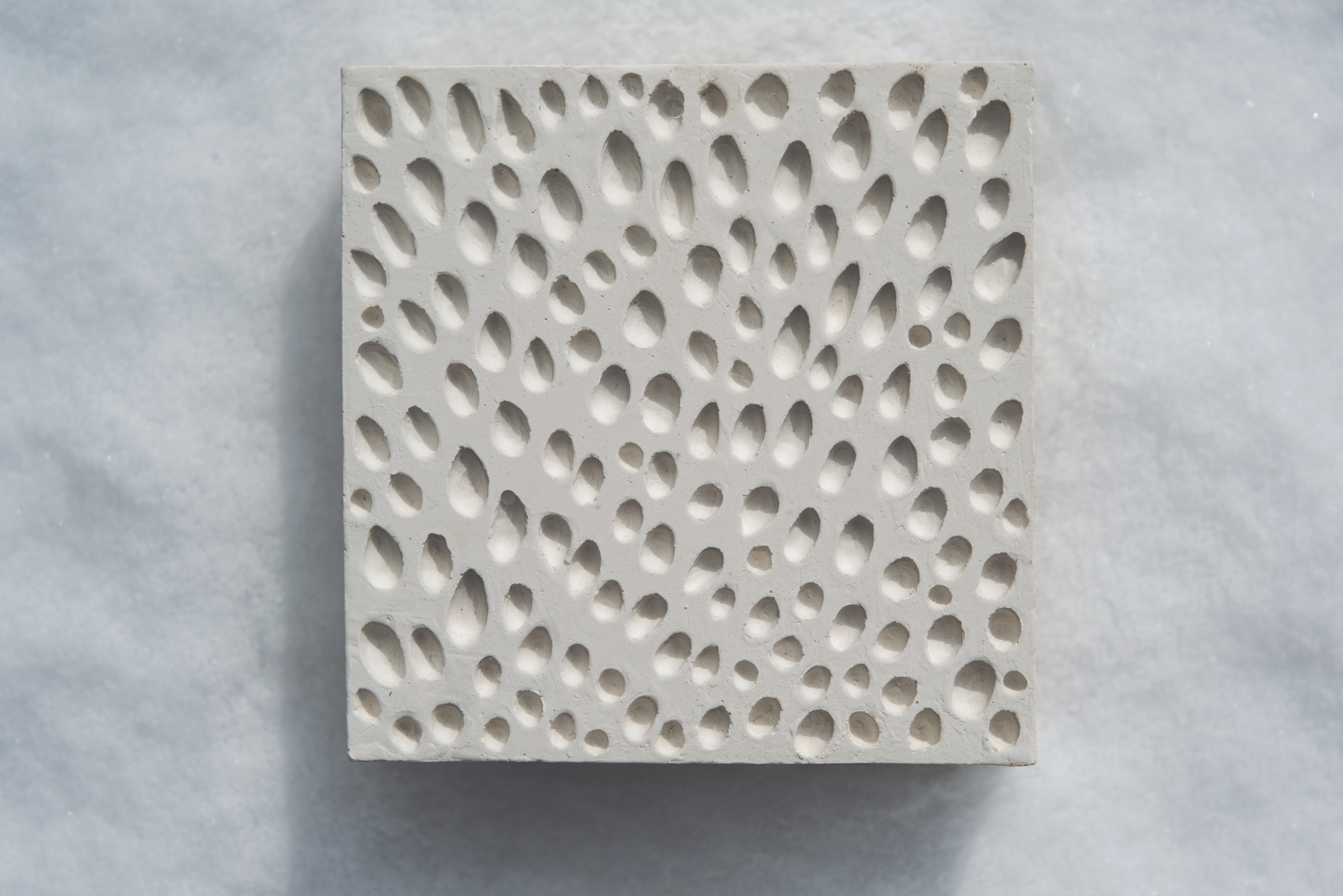 Mycotecture - Lisa Rooney