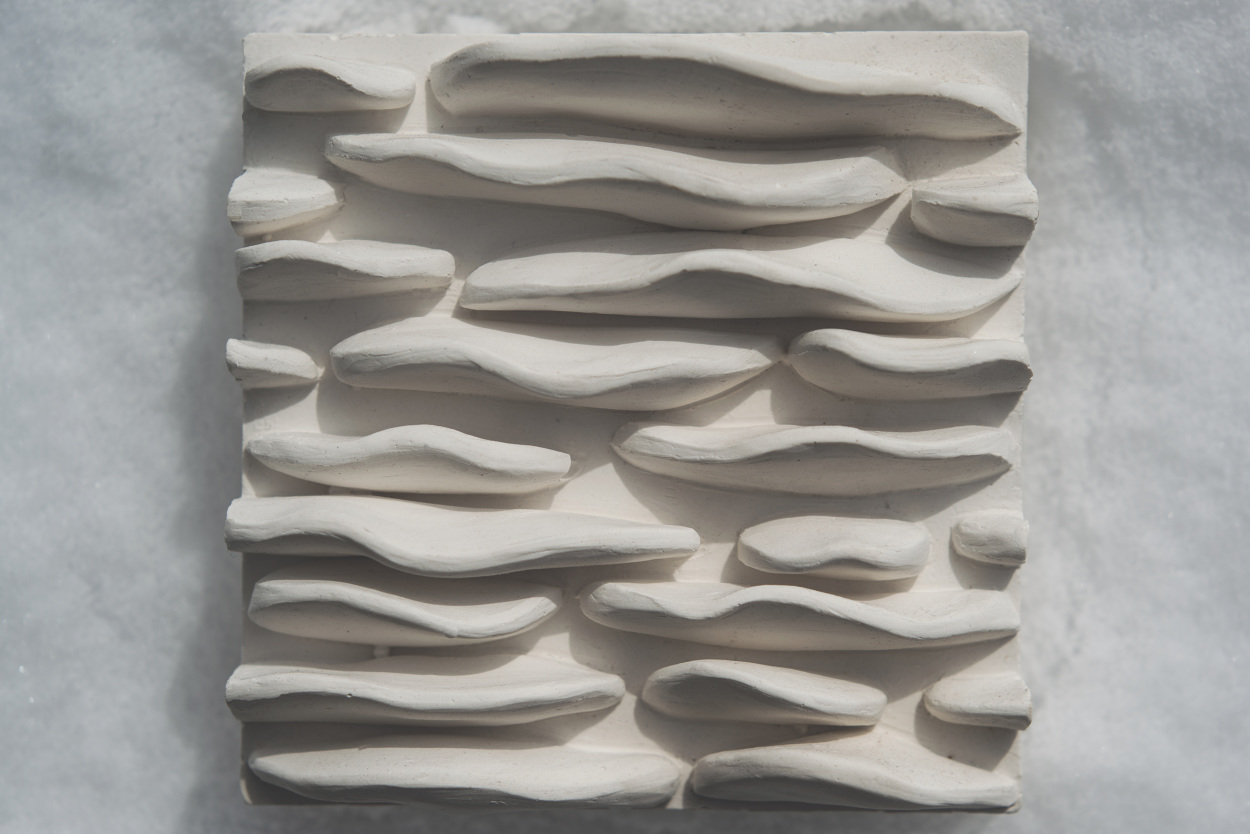 Mycotecture - Lisa Rooney