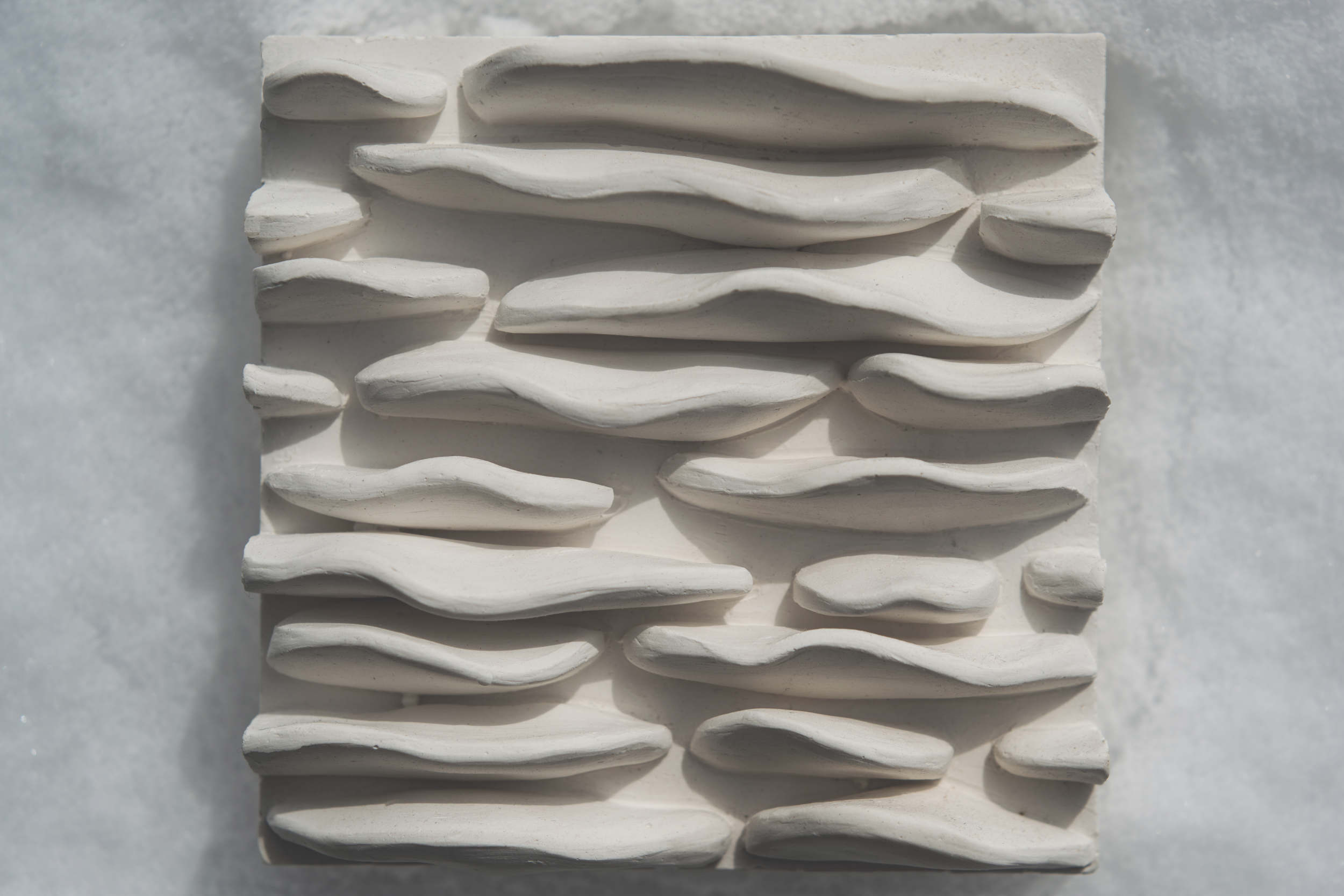 Mycotecture - Lisa Rooney