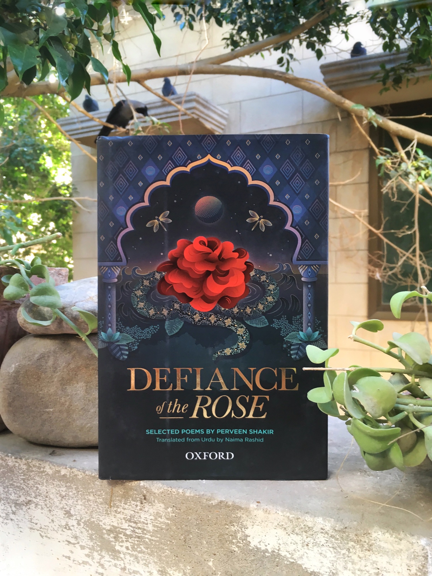 Defiance of the Rose - Book Cover & Jacket Design - Samya Arif