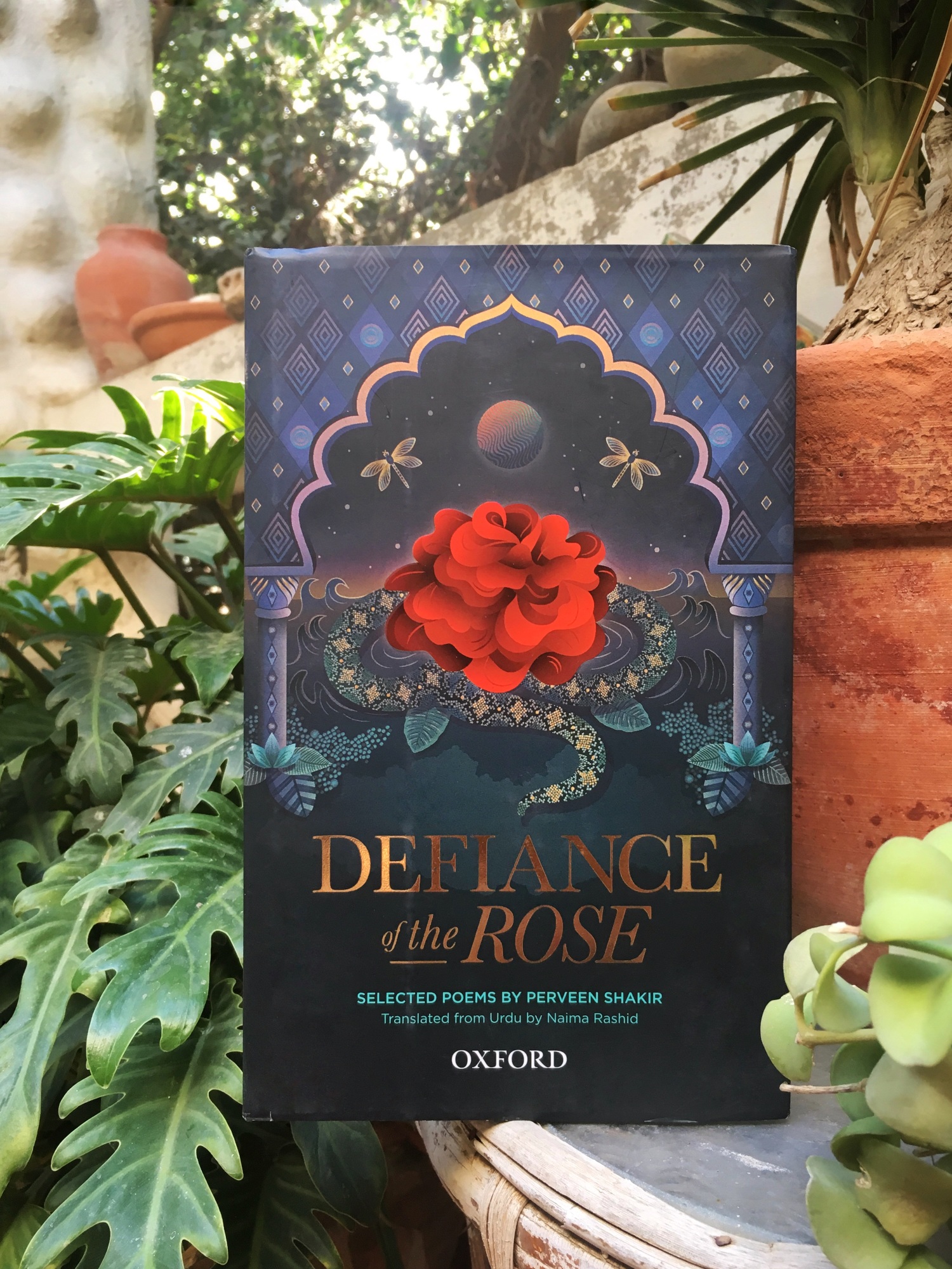 Defiance of the Rose - Book Cover & Jacket Design - Samya Arif