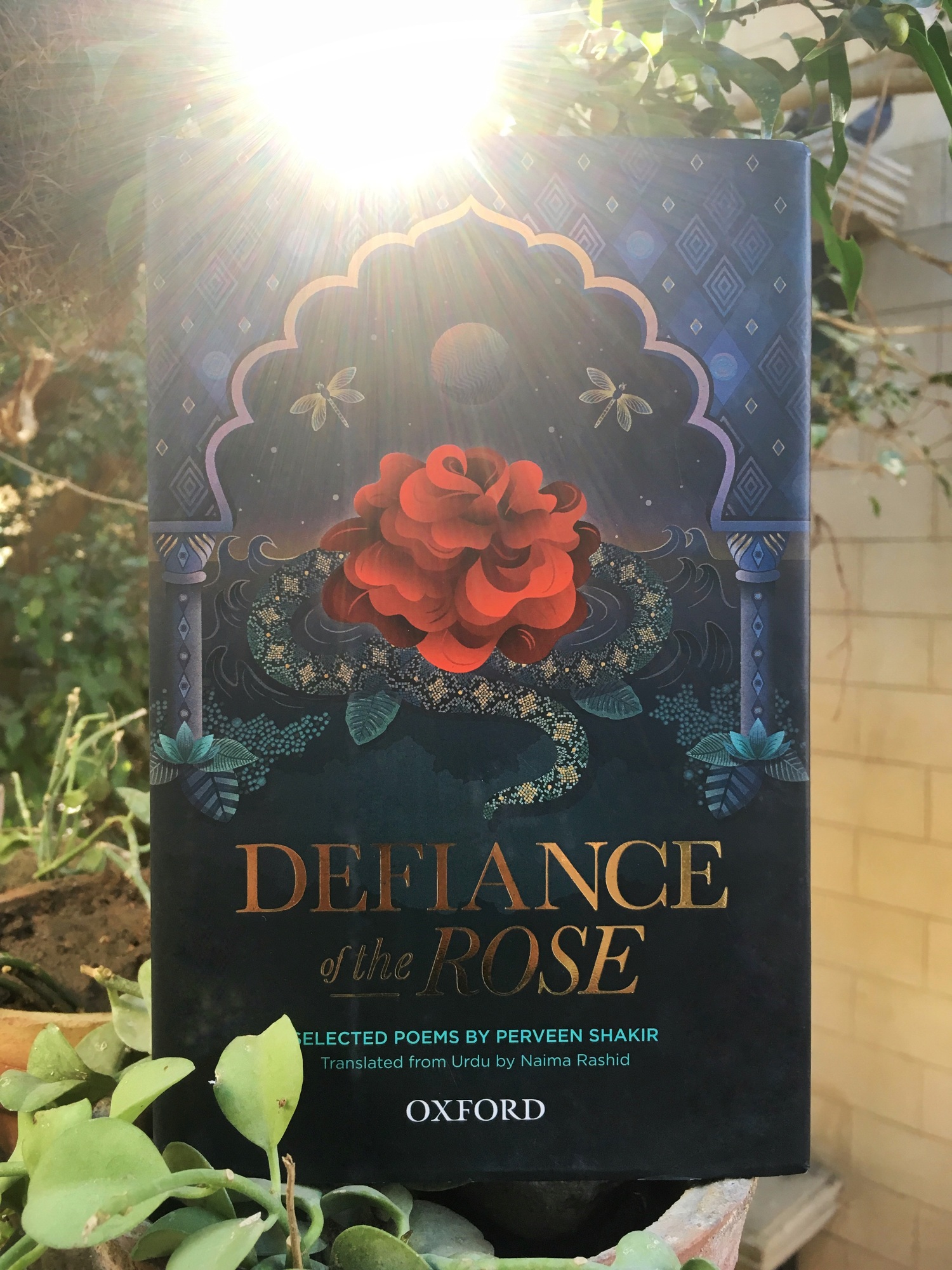 Defiance of the Rose - Book Cover & Jacket Design - Samya Arif
