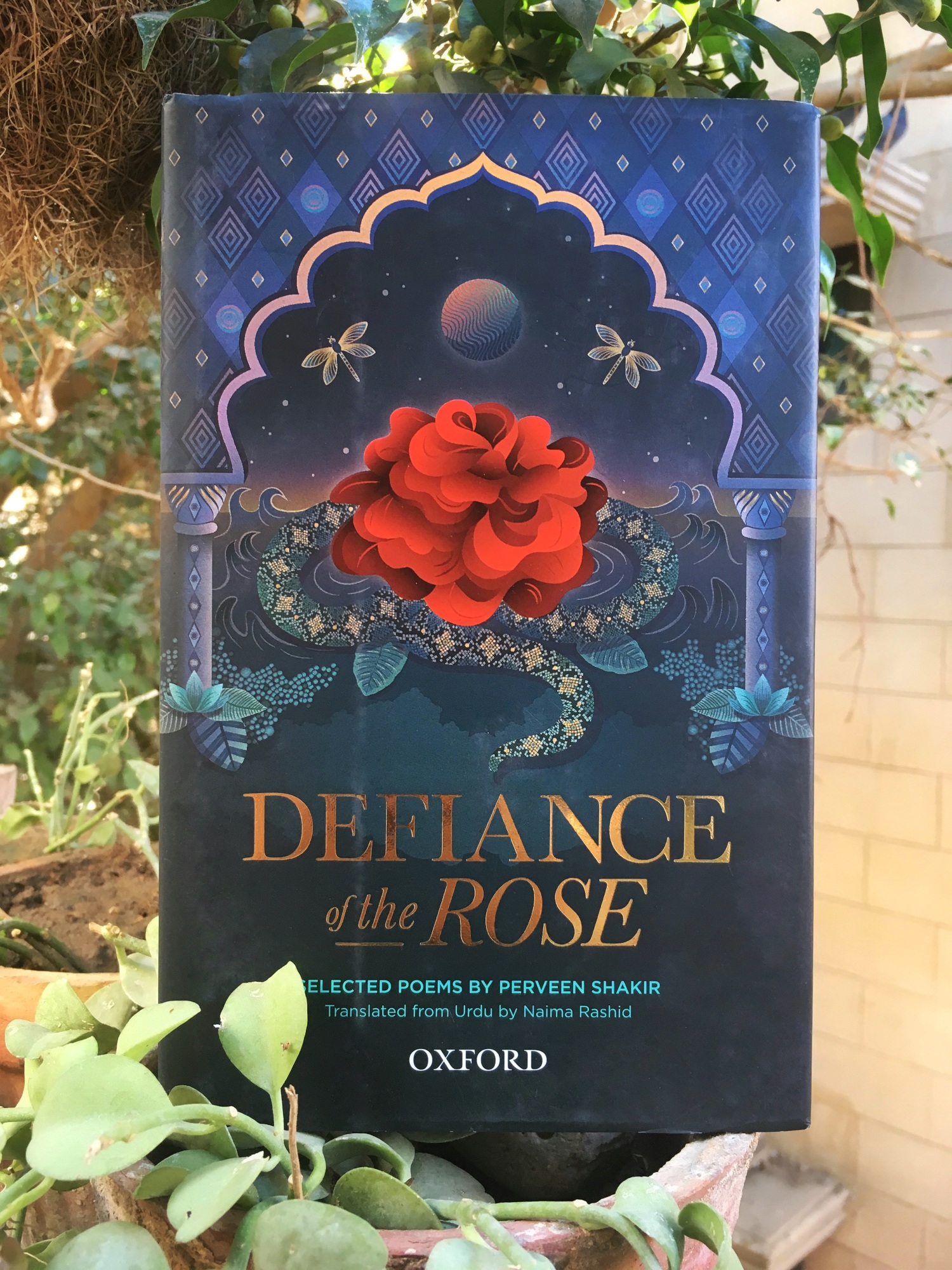 Defiance of the Rose - Book Cover & Jacket Design - Samya Arif