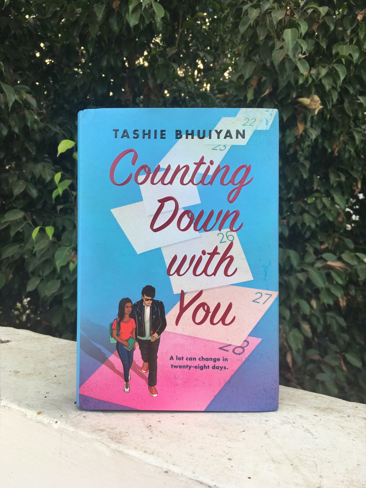 Counting Down with You - Book Cover - Samya Arif
