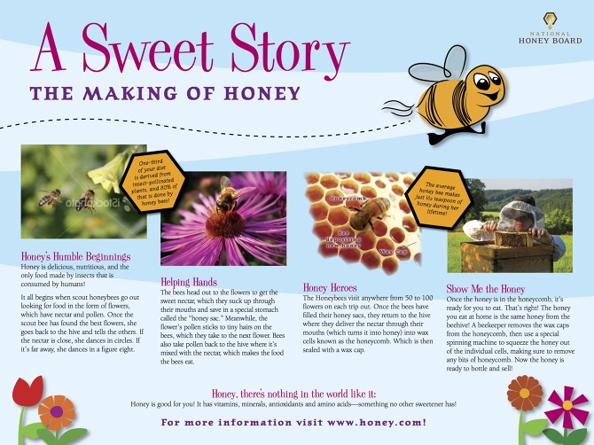 National Honey Board Poster - TM Creative Direction