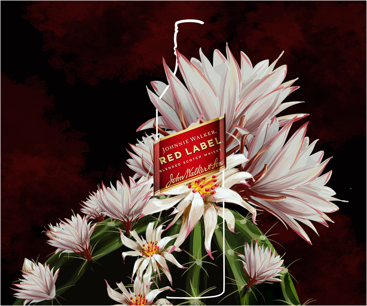 JOHNNIE WALKER LABELS - Charlie Hodgson
