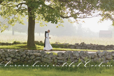 Holy Rood Guild - james gibson_design