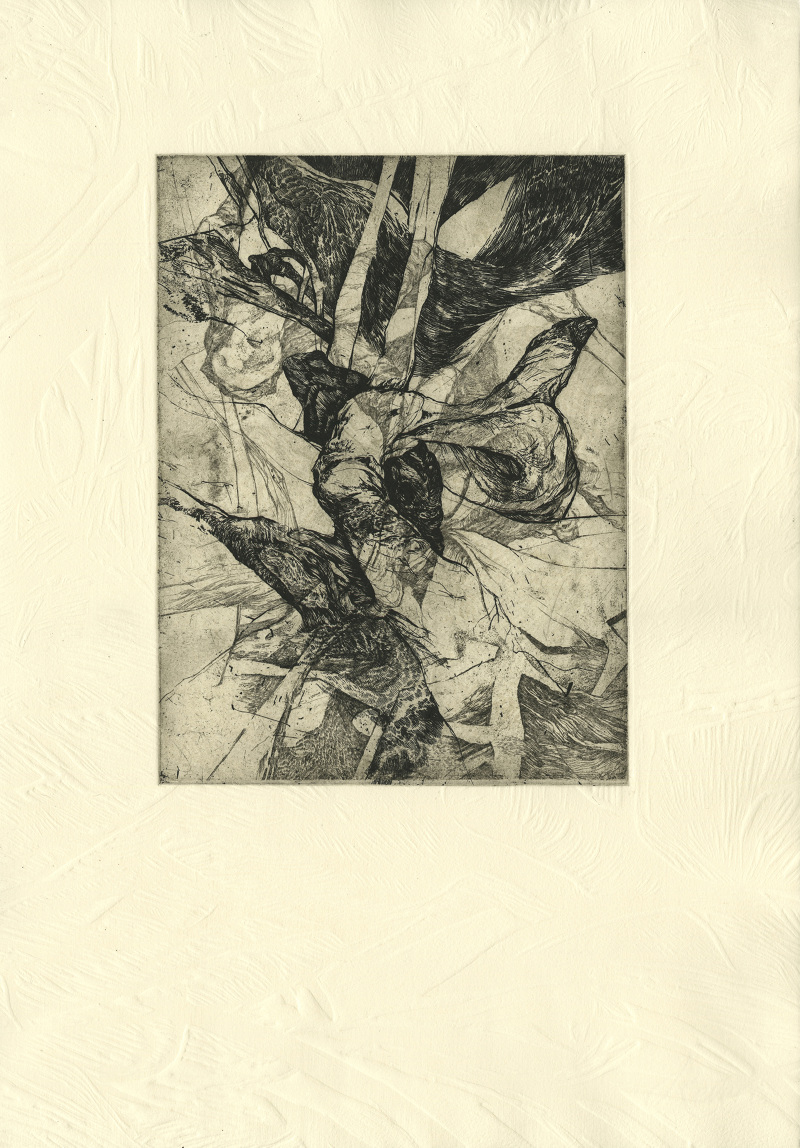 Ty, co katujesz... - Anna Kenar